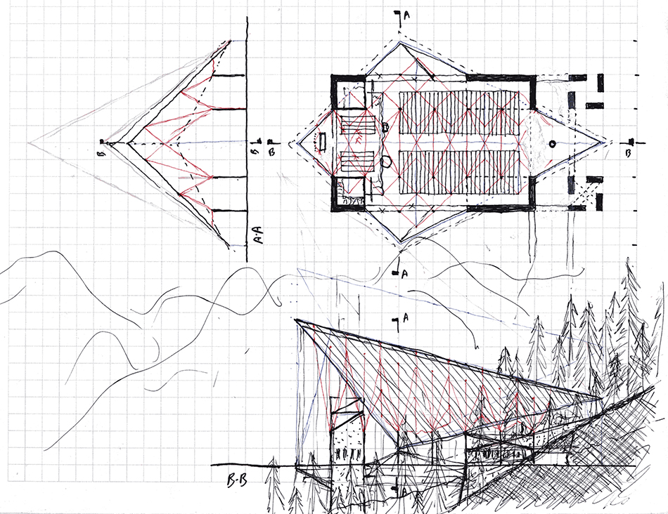 Education and Early Career - DAVID COLE AIA | architect